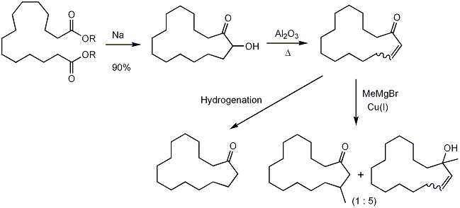 とある化学の超ガテン系: マクロサイクリックムスク (1) Exaltone